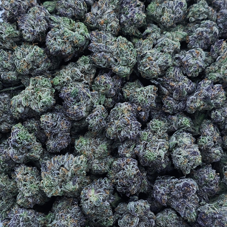 Night Terror Small - Prohibition Farms